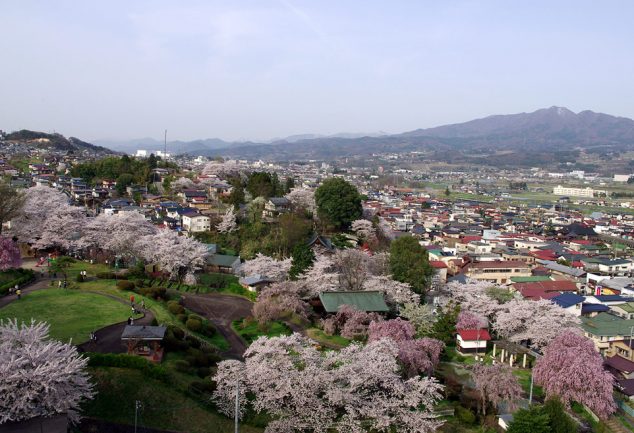 Ema: Wooden Wishing Plaques of Japan