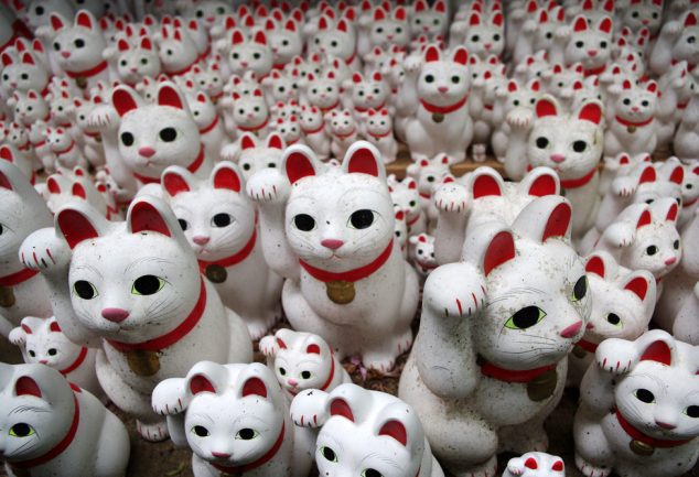 Funny Cat Expressions and Phrases in Japanese