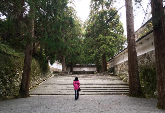 Ema: Wooden Wishing Plaques of Japan